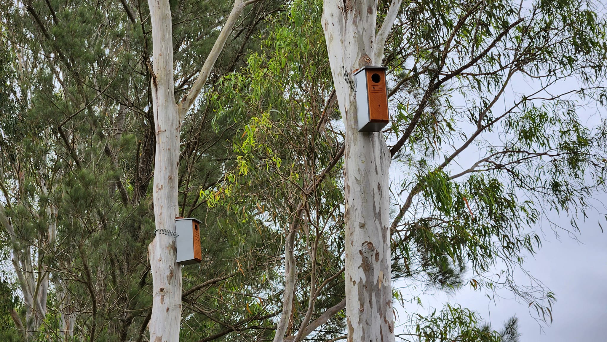 Hollow Log Homes - Earthfix : Earthfix