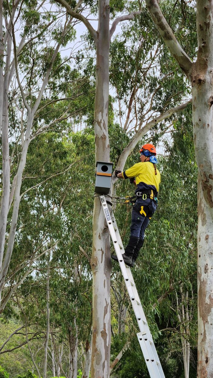 Hollow Log Homes - Earthfix : Earthfix